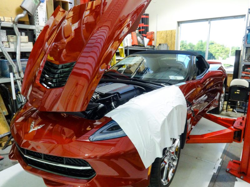 IBIZ Gallery Photos | IBIZ World Class Detailing Products